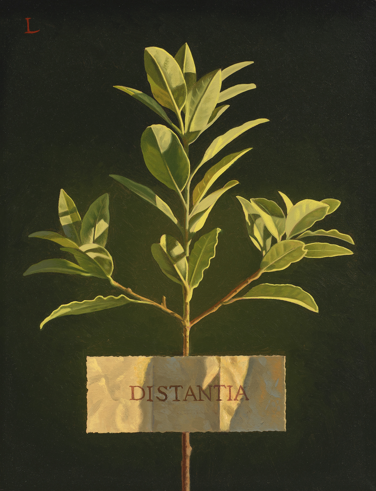 David Ligare - Artworks at Winfield Gallery in Carmel, CA