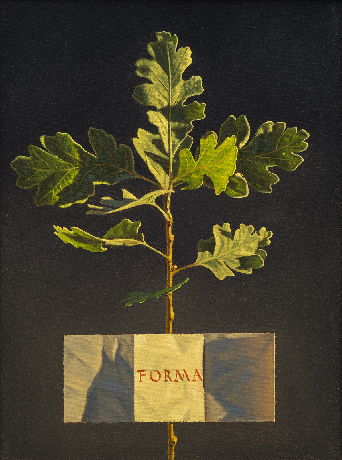 David Ligare - Artworks at Winfield Gallery in Carmel, CA