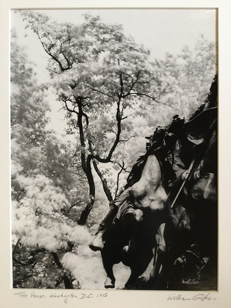 William Giles | Winfield Gallery