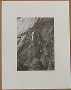 Tom Millea | Winfield Gallery